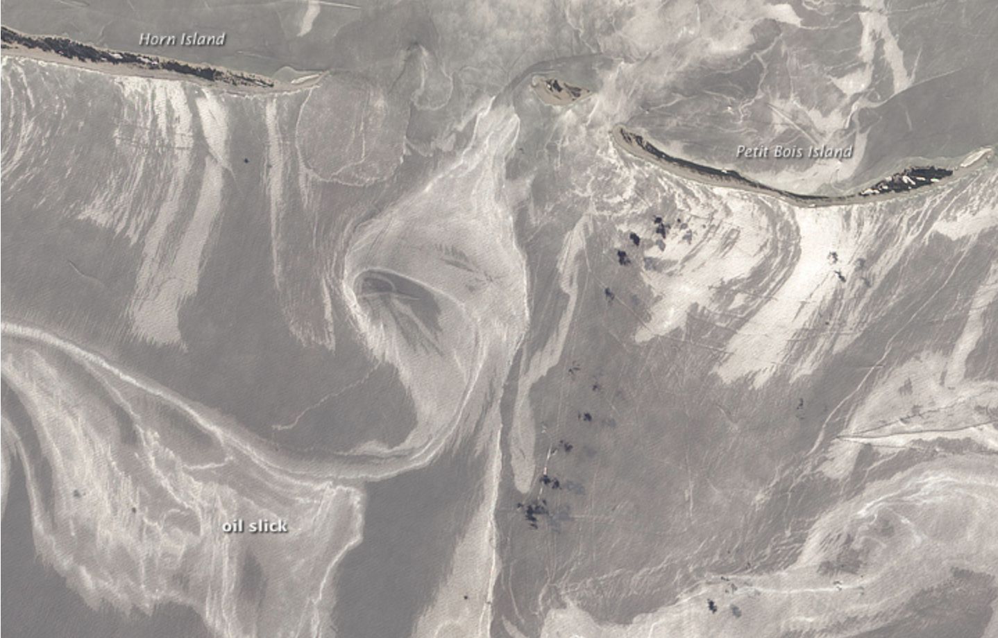 Oil Spill Gulf Coast 2010177 EO image 2.png | NASA Applied Sciences